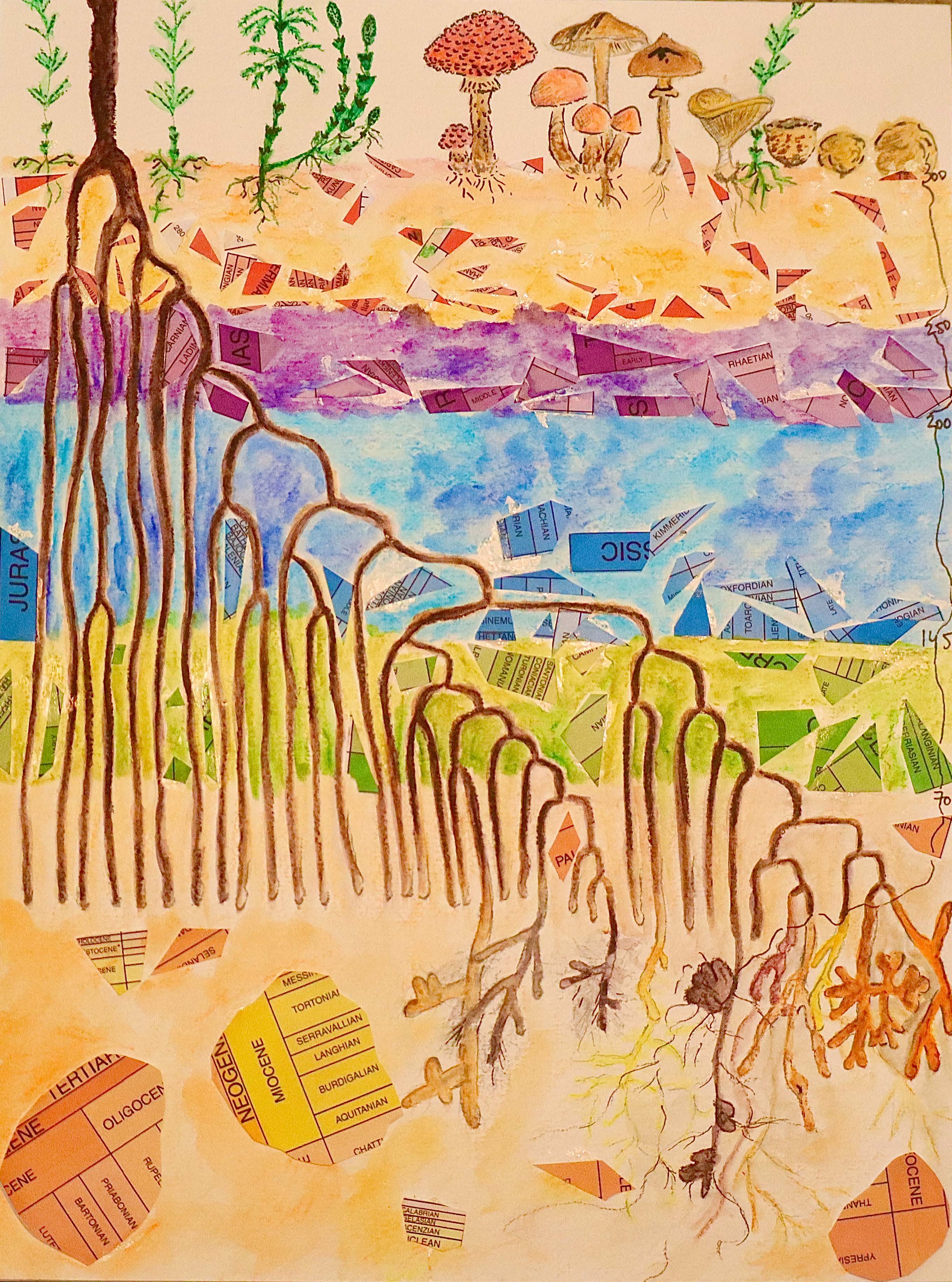 Special Features | Elementa: Science of the Anthropocene | University ...