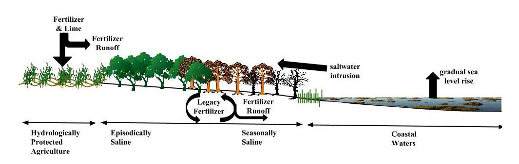 Ghosts of land-use past: Do land-use legacy effects constrain the ...