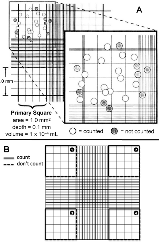 Student Scientists: Transforming the Undergraduate Biology Lab into a ...