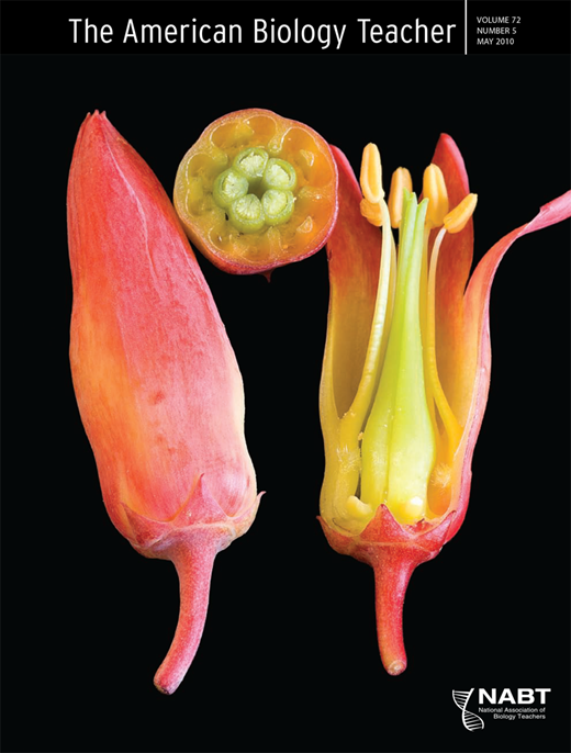 Sectioning Clay Models Makes Anatomy & Development Tangible | The ...