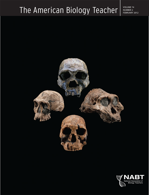 How We Got Here: Evolutionary Changes in Skull Shape in Humans & Their ...