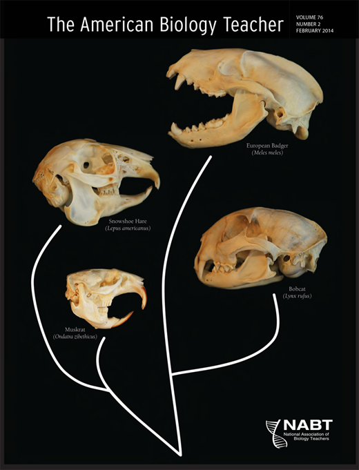 The Mystery of the Skulls | The American Biology Teacher | University ...