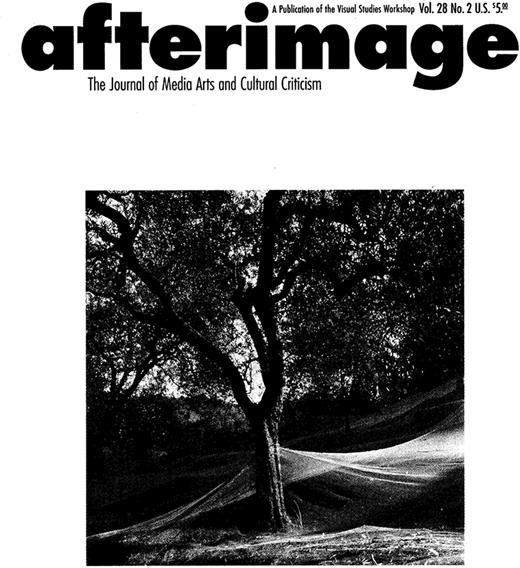 Art as Brand | Afterimage | University of California Press