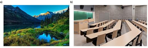 The Role of Nature Cues and Nature Relatedness in Academic Motivation ...