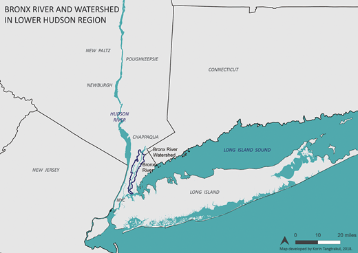 The Bronx River and Environmental Justice Through the Lens of a ...