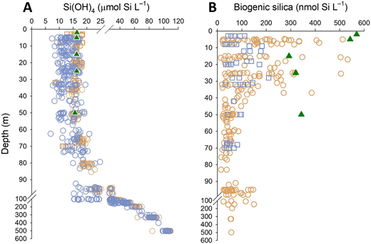 The upper ocean silicon cycle of the subarctic Pacific during the ...
