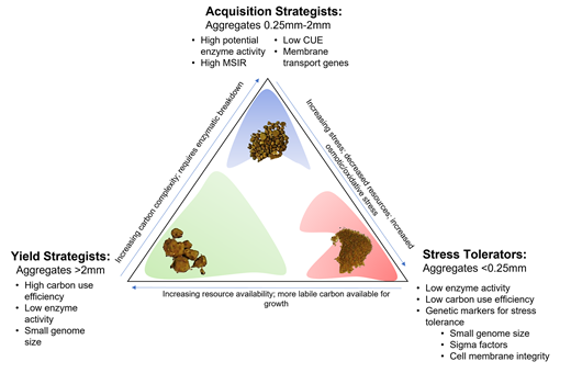 Soil microbial communities vary in composition and functional strategy ...