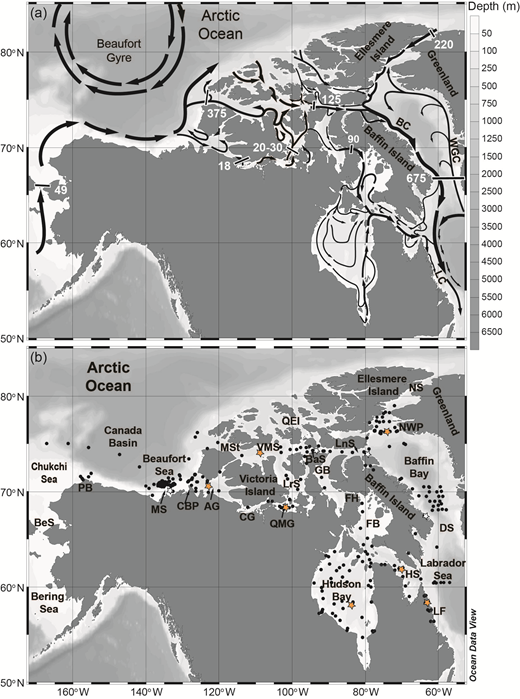 Zooplankton assemblages along the North American Arctic: Ecological ...