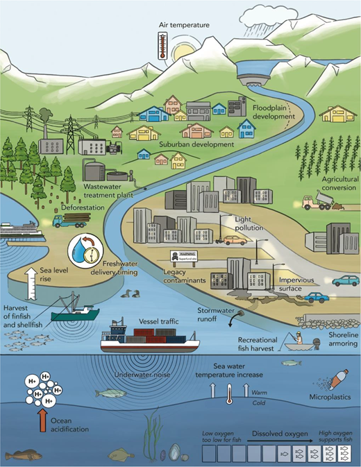 Urban seas as hotspots of stress in the Anthropocene ocean: The Salish ...
