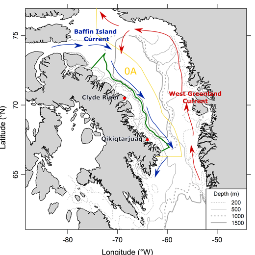 Structure and function of the western Baffin Bay coastal and shelf ...