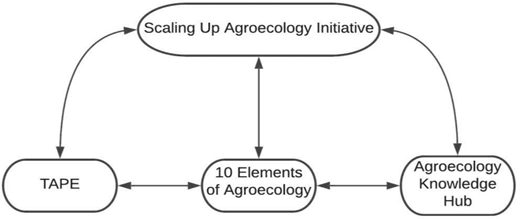 The 10 Elements of Agroecology interconnected: Making them operational ...