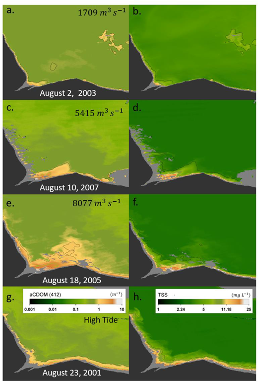 Plume dispersion from the Nelson and Hayes rivers into Hudson Bay using ...