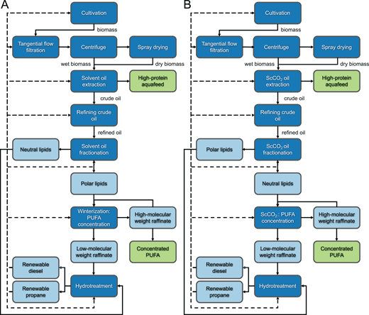 Comparative life cycle assessment of marine microalgae, Nannochloropsis sp. and fishmeal for ...
