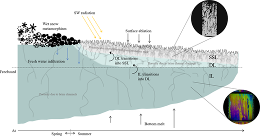 Evolution of the microstructure and reflectance of the surface ...