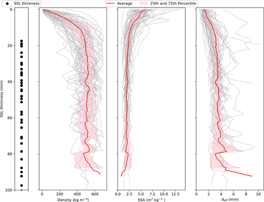 Evolution of the microstructure and reflectance of the surface ...