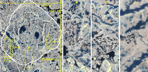 Relationships between summertime surface albedo and melt pond fraction ...