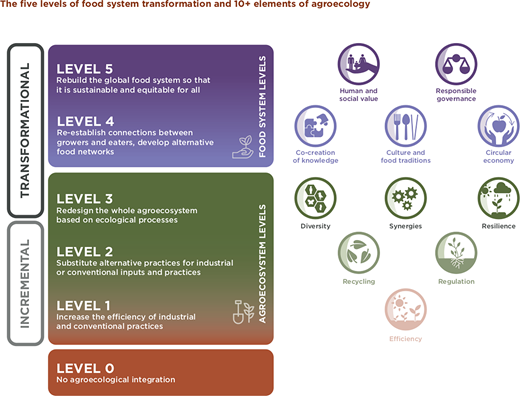 Measuring agroecology: Introducing a methodological framework and a ...