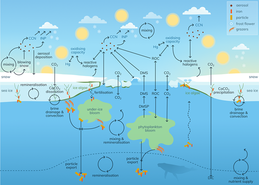 Polar oceans and sea ice in a changing climate | Elementa: Science of ...