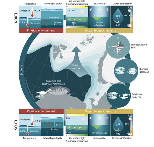 The future Barents Sea—A synthesis of physical, biogeochemical, and ...