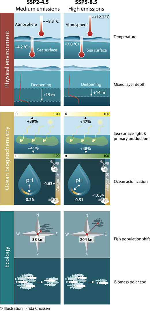 The future Barents Sea—A synthesis of physical, biogeochemical, and ...