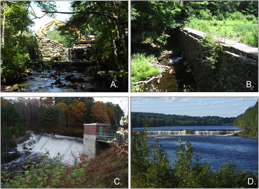 River restoration by dam removal: Enhancing connectivity at watershed ...