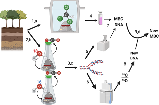 Heavy and wet: The consequences of violating assumptions of measuring ...