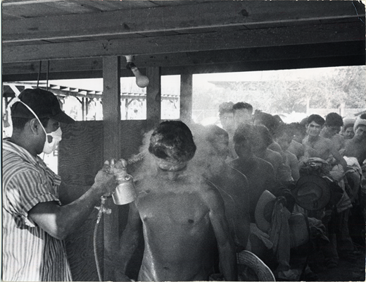 “We Didn't Cross the Border, the Border Crossed Us” | Latin American ...